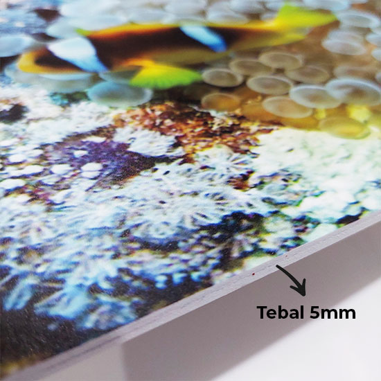 PVC BOARD 5MM + PRINT UV UK 30X40CM (Hiasan dinding) | Cathay Digital ...